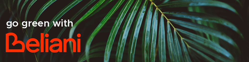 We Go Green with Solar Energy | Beliani.fi